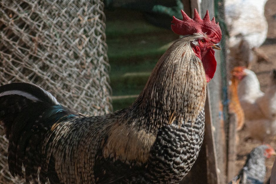 ChenProperty.com is for sale at NameMaxi