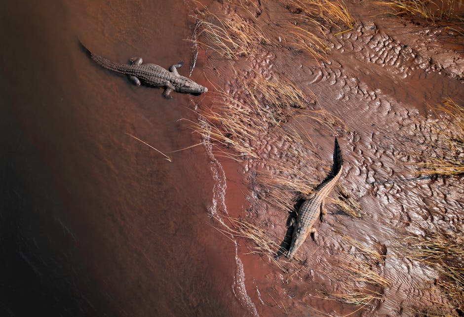 Muddying.com is for sale at NameMaxi