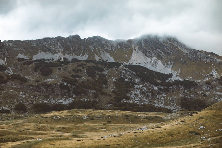 Vistaril.com is for sale at NameMaxi